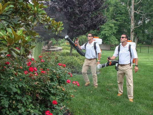Mercer County Mosquito Control | Last Bite Mosquito